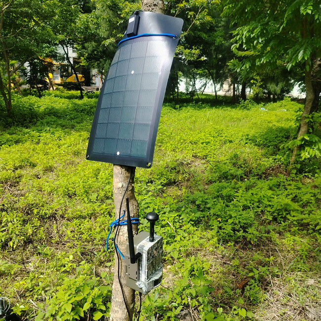 Bulk Buy China Wholesale Ltl Acorn 9.5w Solar Charger Waterproof Solar ...