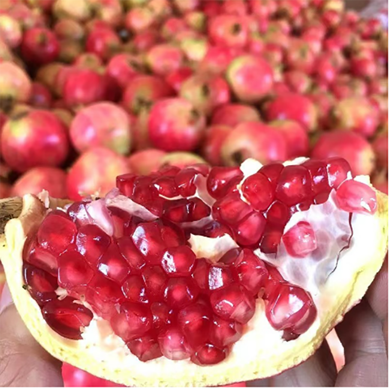 Buy Wholesale China Fresh Pomegranate Fruit Super Sweet Seedless ...