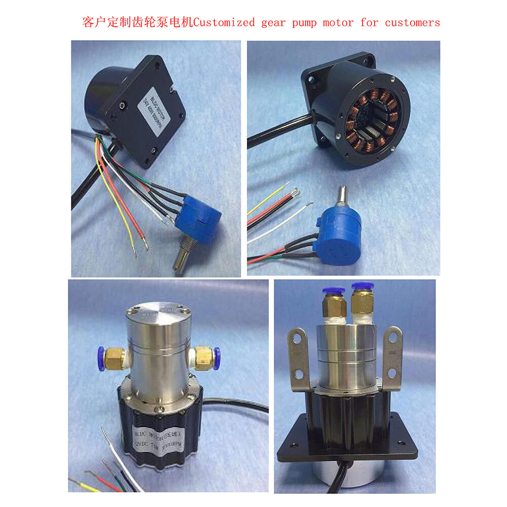 Buy Wholesale China Factory Price Small Pump Brushless Dc Motor Custom ...