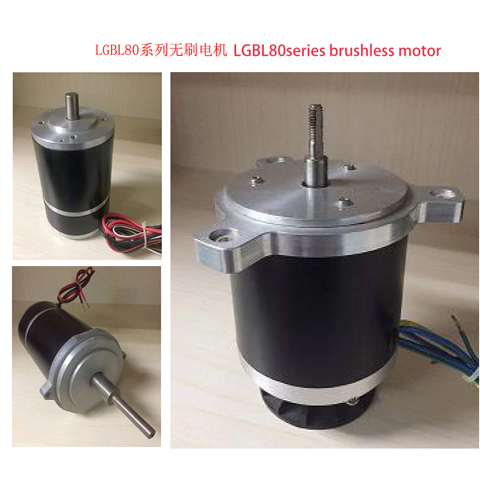 Buy Wholesale China Factory Price Small Pump Brushless Dc Motor Custom ...