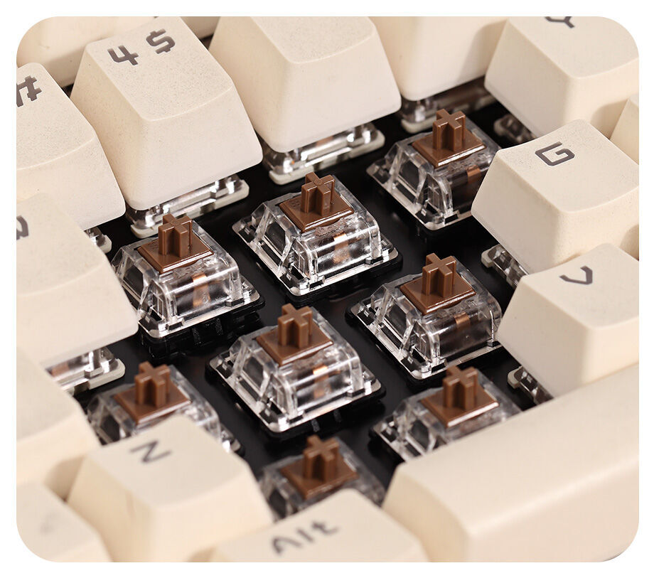 Bsun Keyboard Switches, Tea Stem, Cherry Stem, Tactile Switch Tea ...