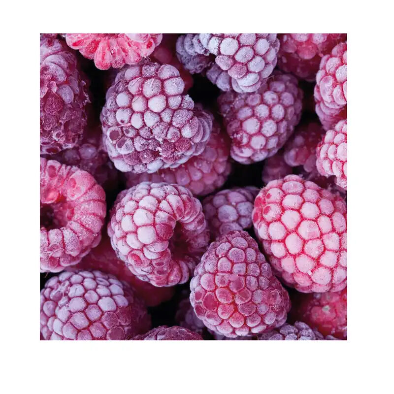 Buy Wholesale China Big Sale Frozen Wild Raspberries Whole For The Best ...