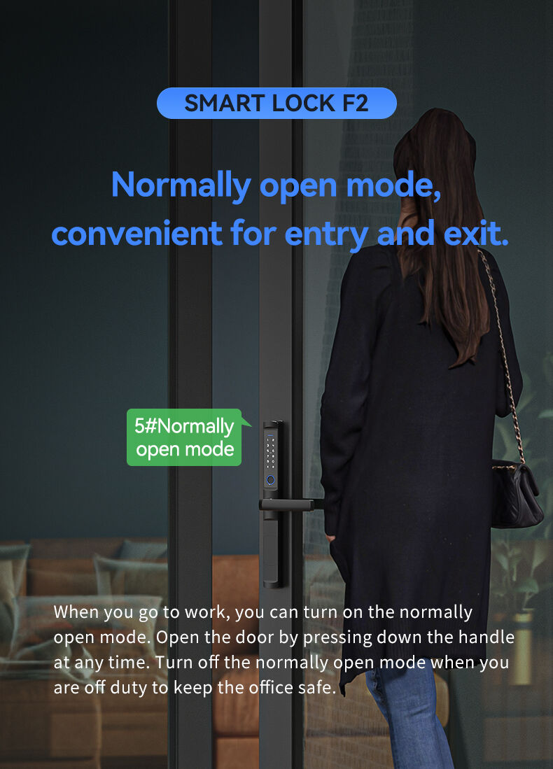 Sinovo Tuya Wifi Ip65 Aluminum Smart Lock Tt Lock App Handle Keypad ...