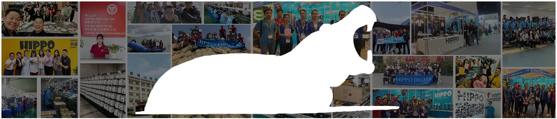 Hippo Sunplus 1080p Wifi Sports Camera - Expore China Wholesale Wifi ...