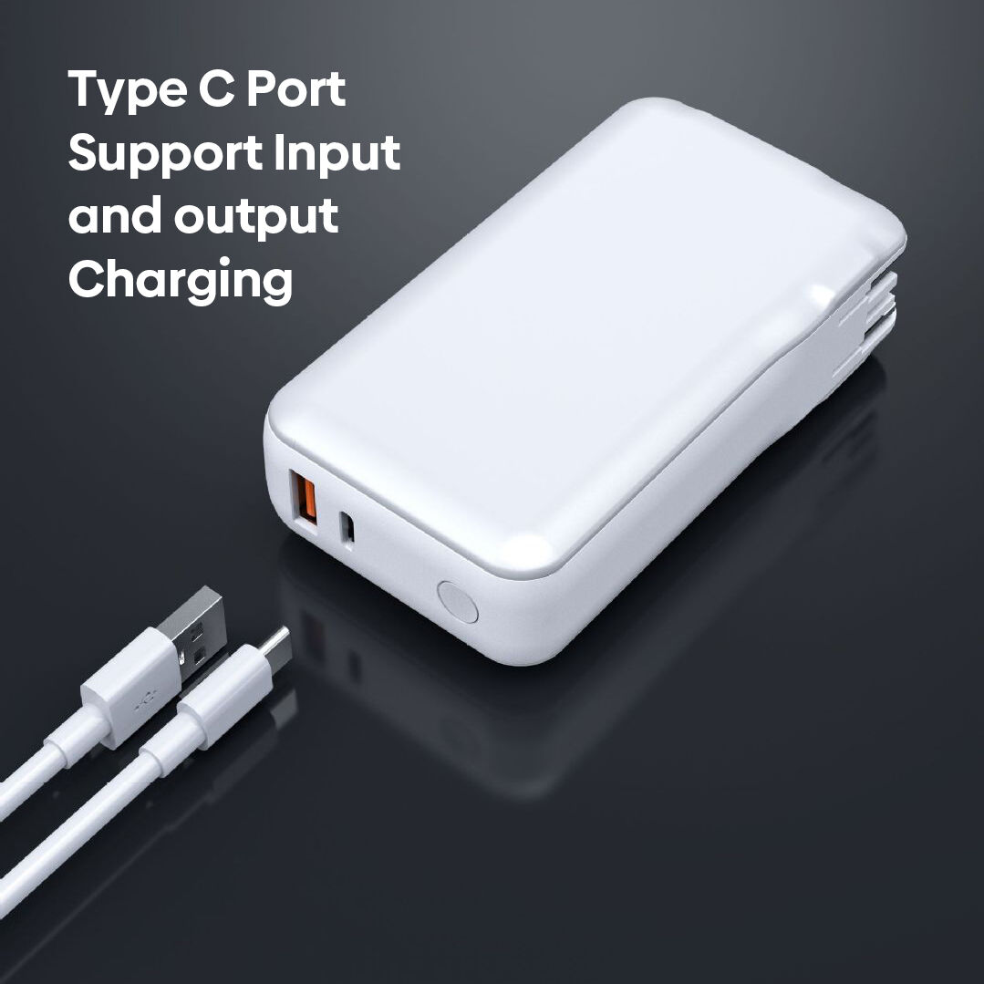 Buy Wholesale China Sasum Sk900 10000mah Wall Charger Power Bank ...
