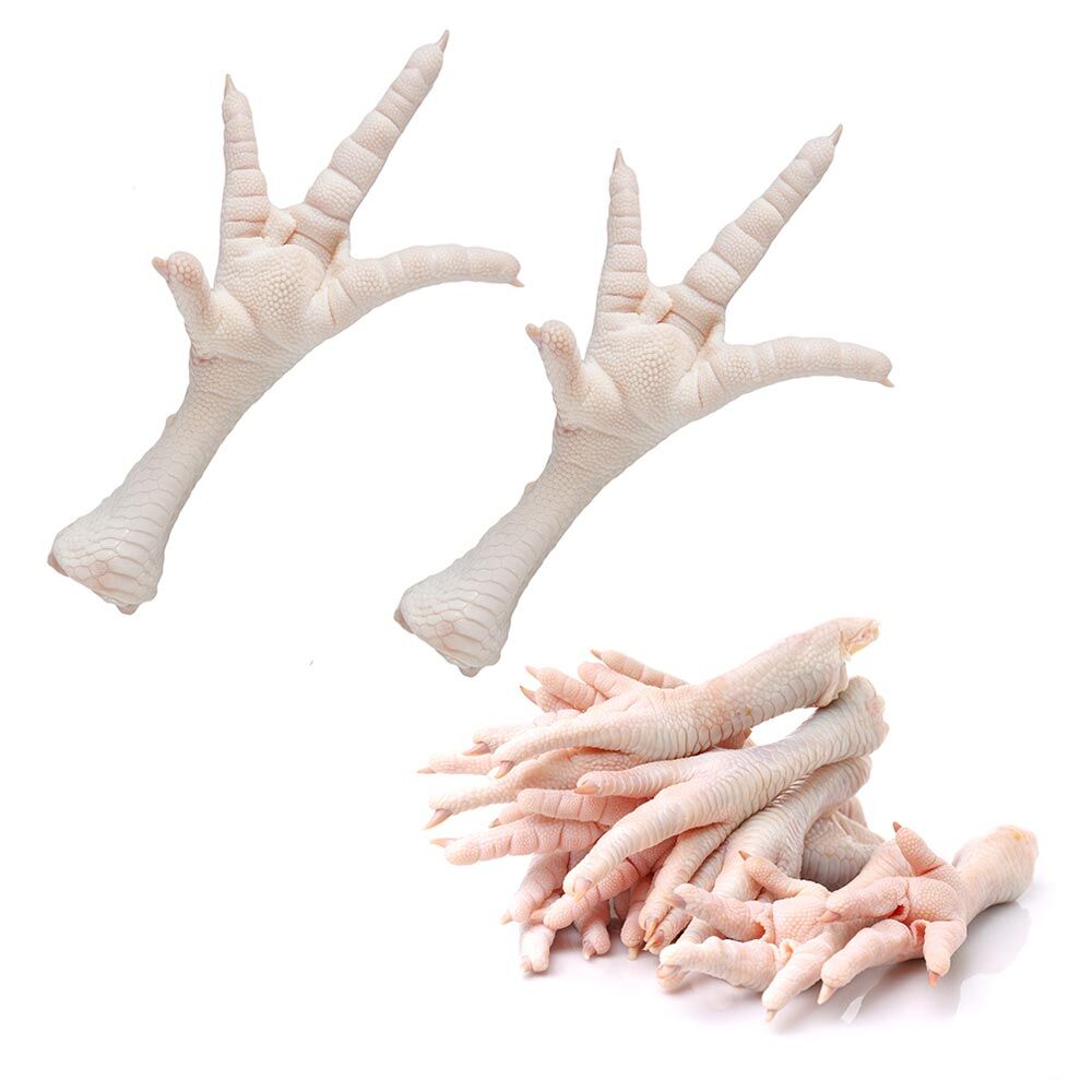 Buy Wholesale United States Halal Frozen Chicken Feet For Sale. Best ...
