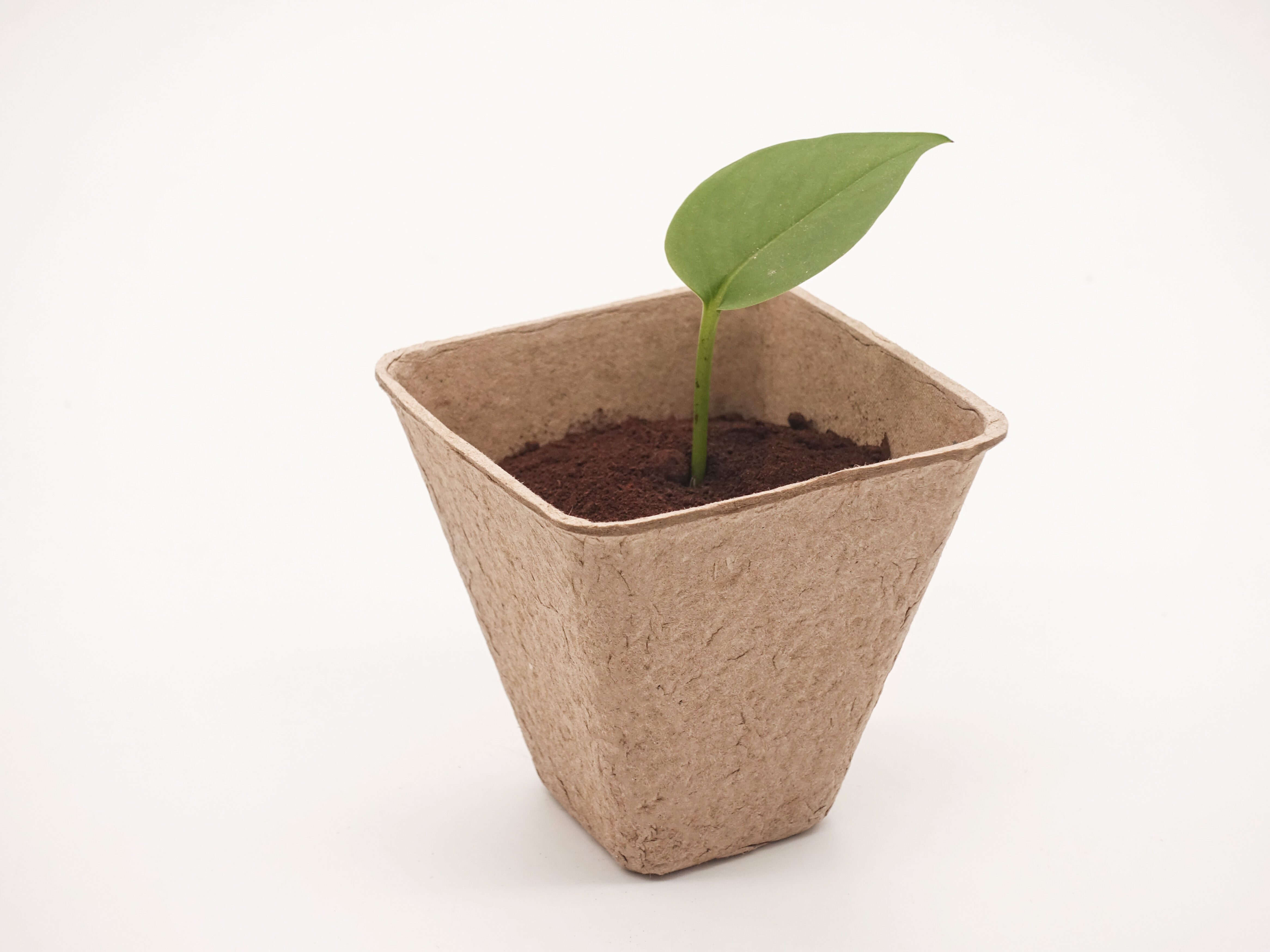 Buy Wholesale China Wholesale Compostable Biodegradable Eco-friendly ...