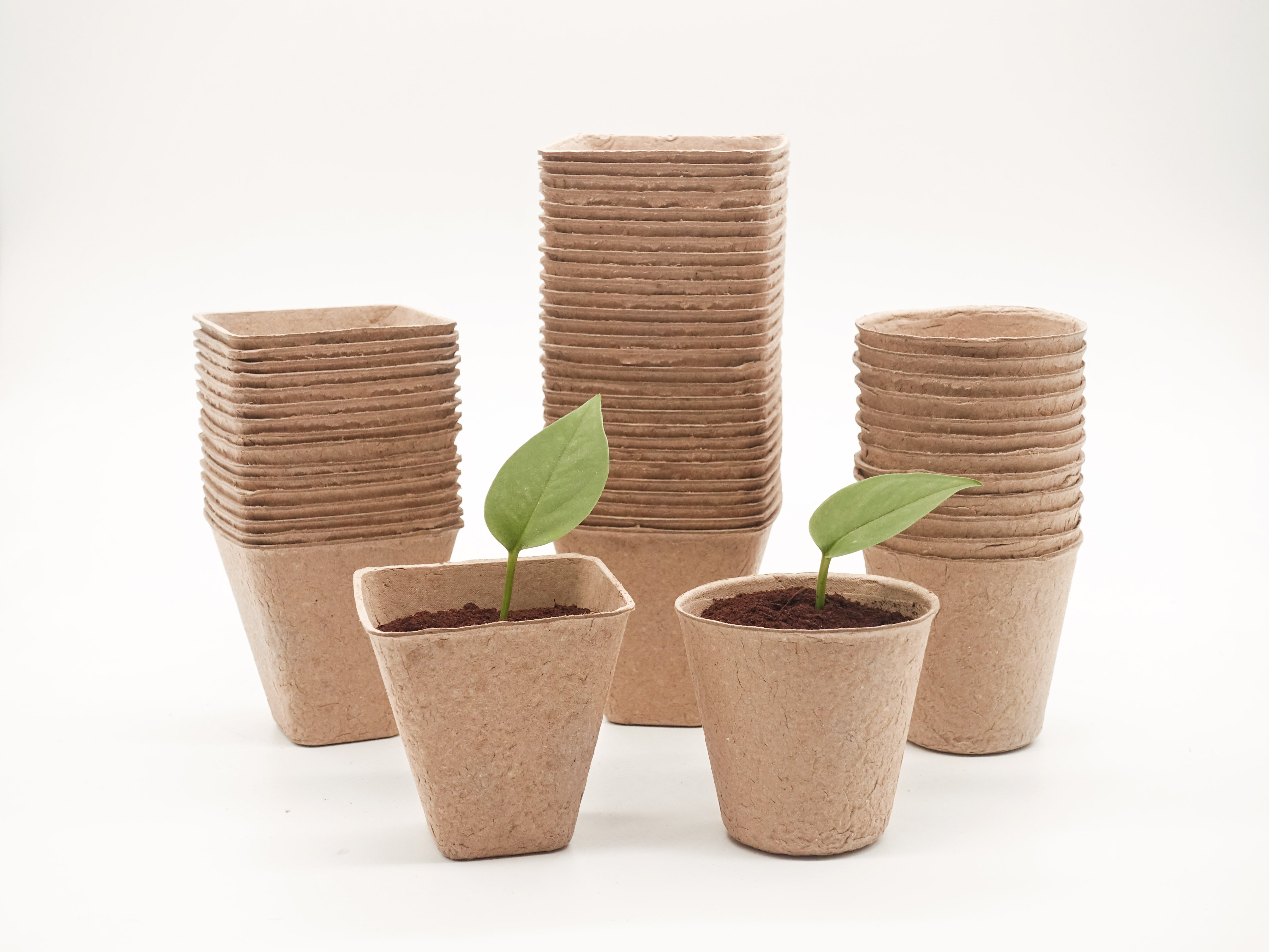 Buy Wholesale China Wholesale Compostable Biodegradable Eco-friendly ...