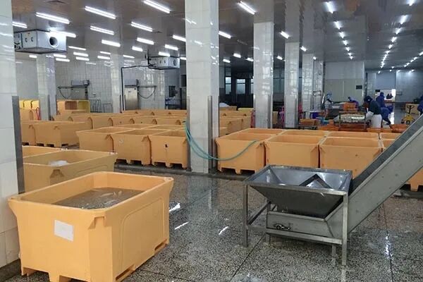 Odm 1000l Durable Stackable Multifunction Plastic Fish Bin Plastic ...