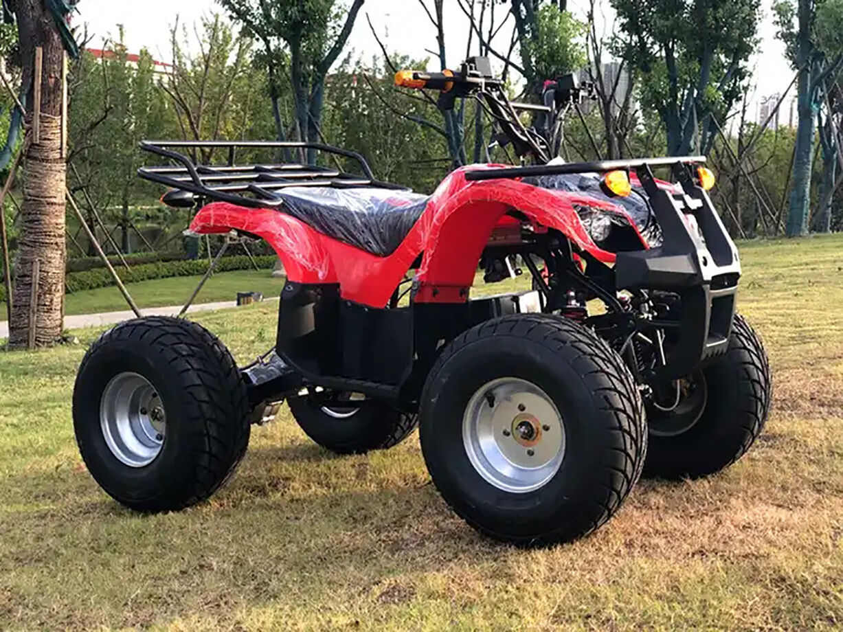 1000w 48v20ah Differential Shaft Drive Adult Electric Atv 4 Wheel Atv ...