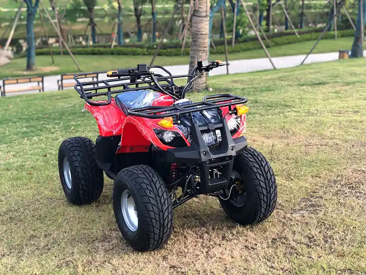 1000w 48v20ah Differential Shaft Drive Adult Electric Atv 4 Wheel Atv ...