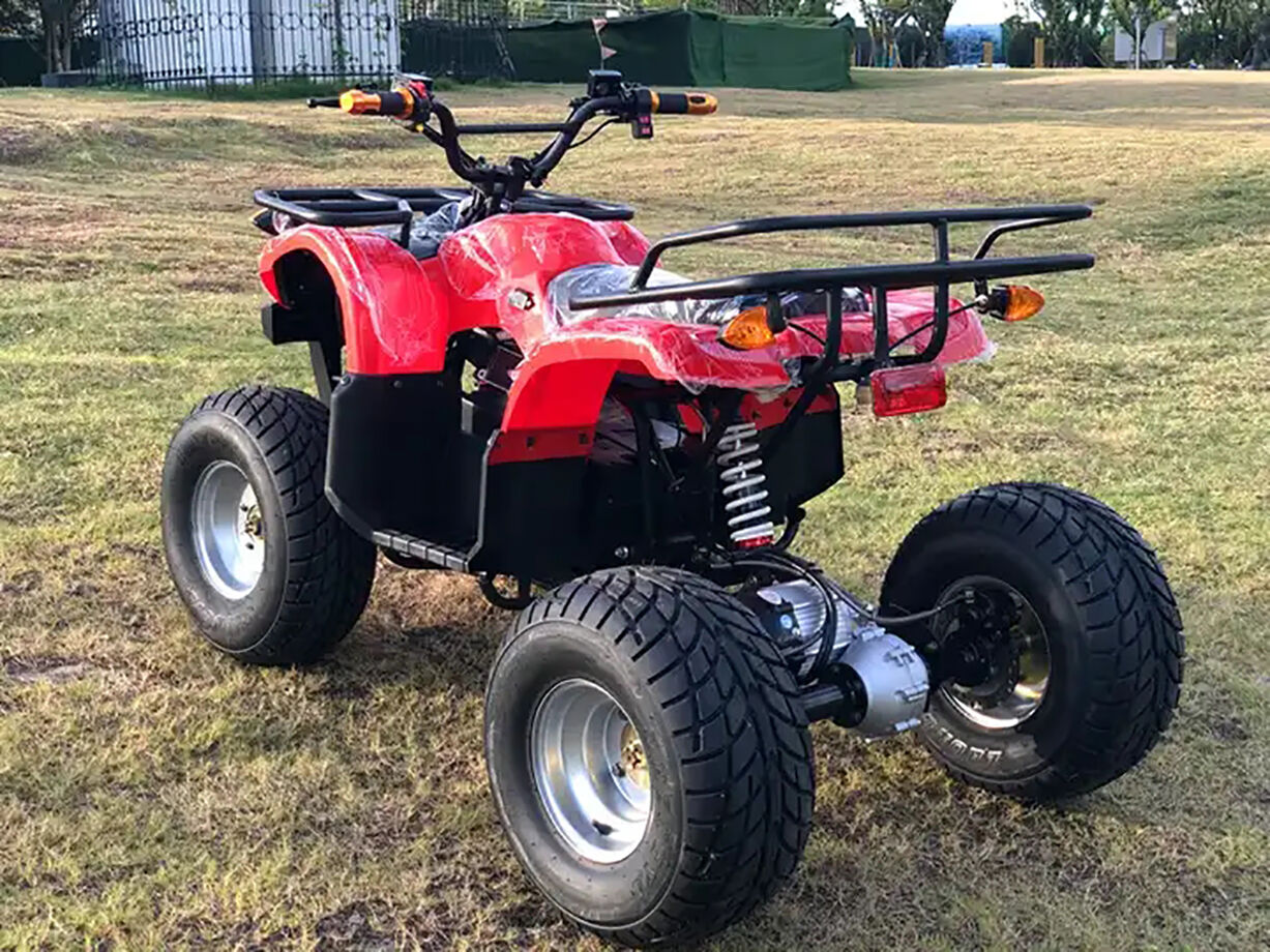 1000w 48v20ah Differential Shaft Drive Adult Electric Atv 4 Wheel Atv ...