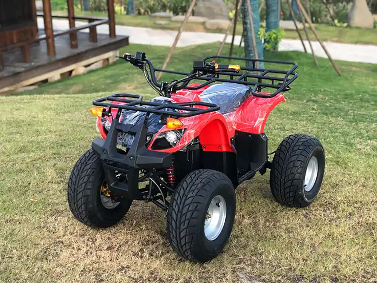 1000w 48v20ah Differential Shaft Drive Adult Electric Atv 4 Wheel Atv ...