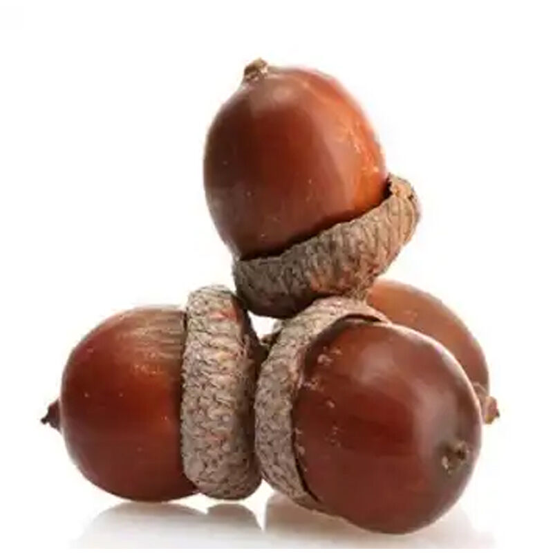 Buy China Wholesale Custom Size Durable Best-selling Acorns Rendong ...