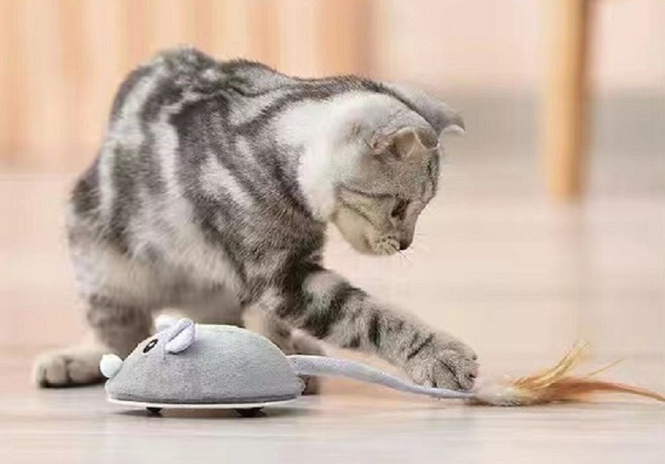 Good Selling Cat Toy Product Usb Charge Fast Moving Mouse Pet Toy With ...