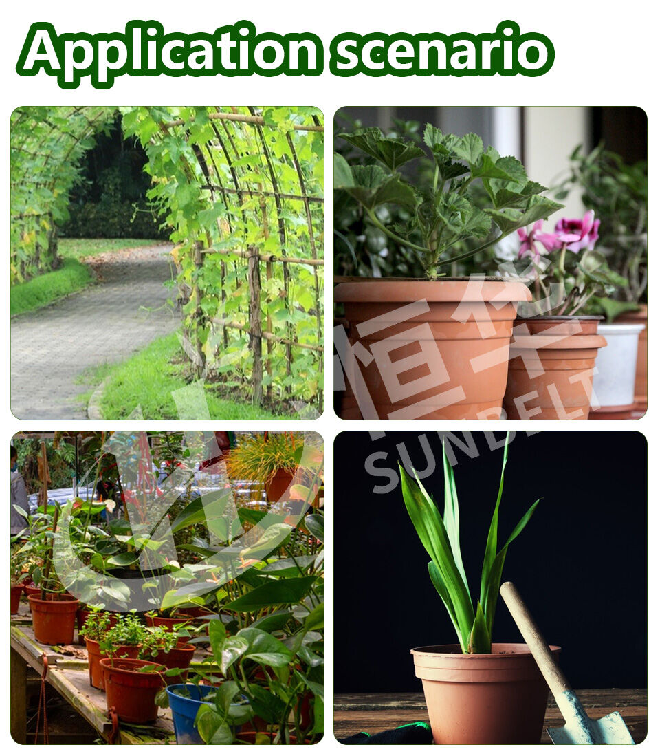 Buy China Wholesale Bendable Plant Sticks Support, Plant Stakes For ...