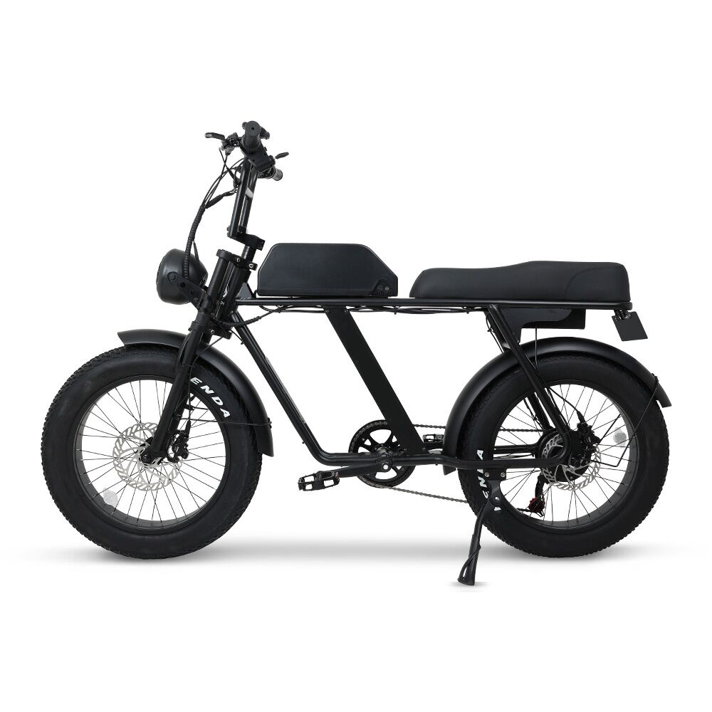 2023 Hot Design 20 Inch Electric Mountain Bike With 36v300w Mid Motor ...
