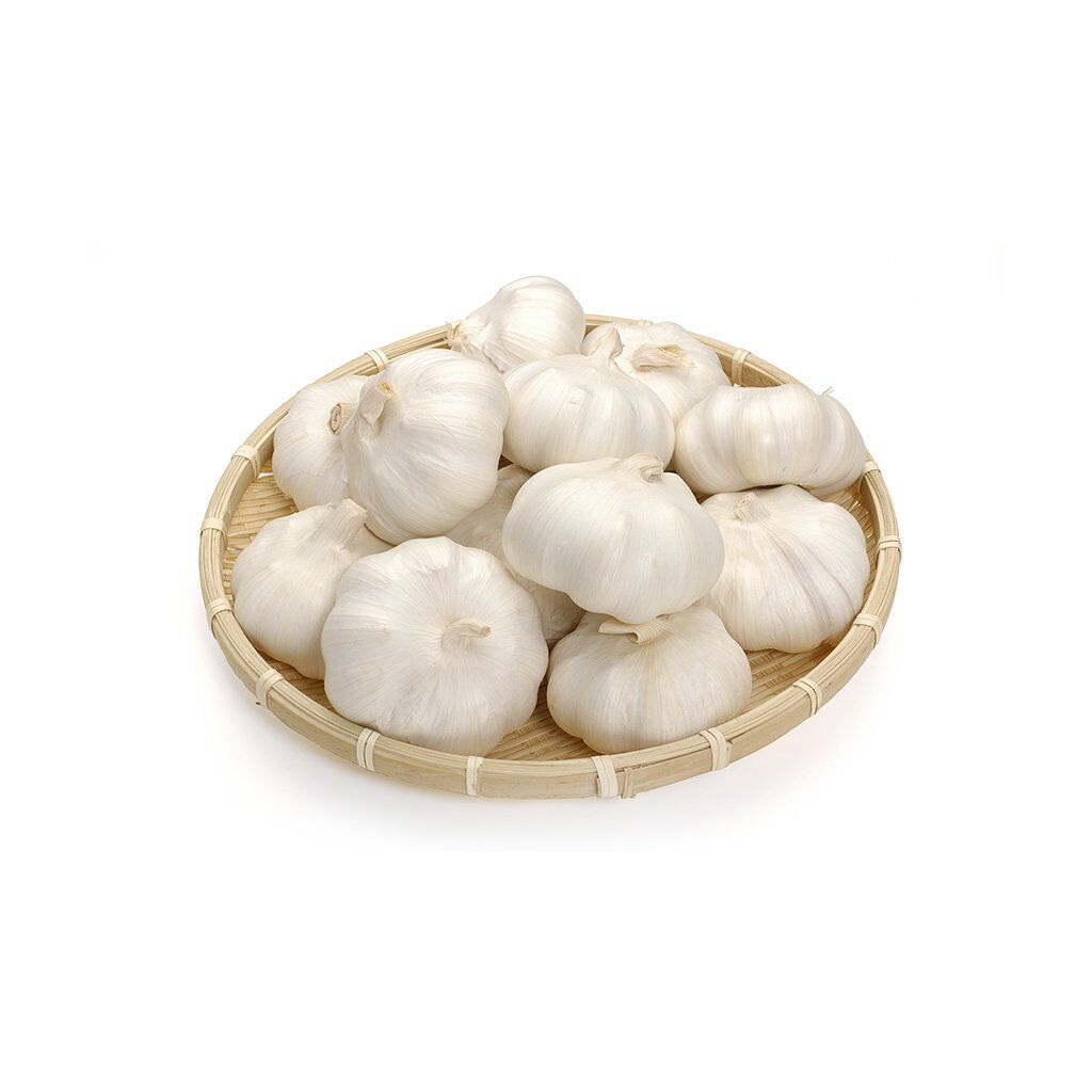 Bulk Buy United Kingdom Wholesale Nord Garlic Import Fresh White Garlic ...