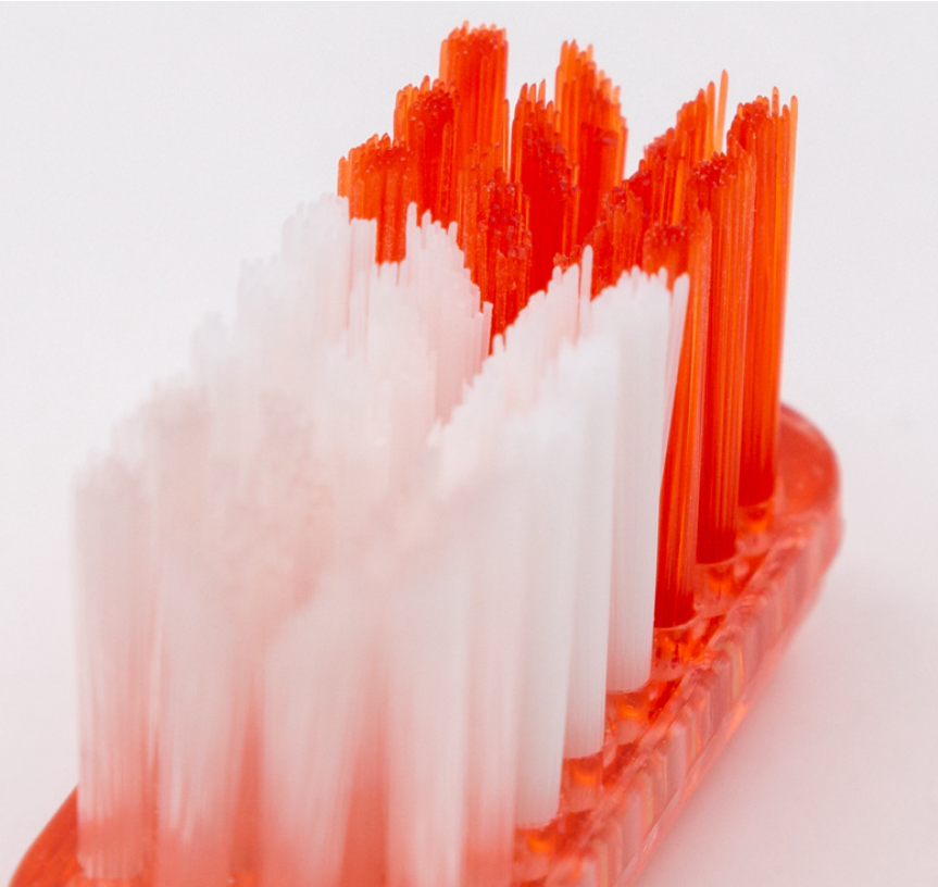 Toothbrush Case Portable Transparent Travel Size Toothbrush Holder ...