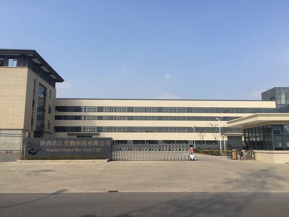 Purity 99% Cas 83-67-0 Cocoa Extract Theobromine Powder, Theobromine ...