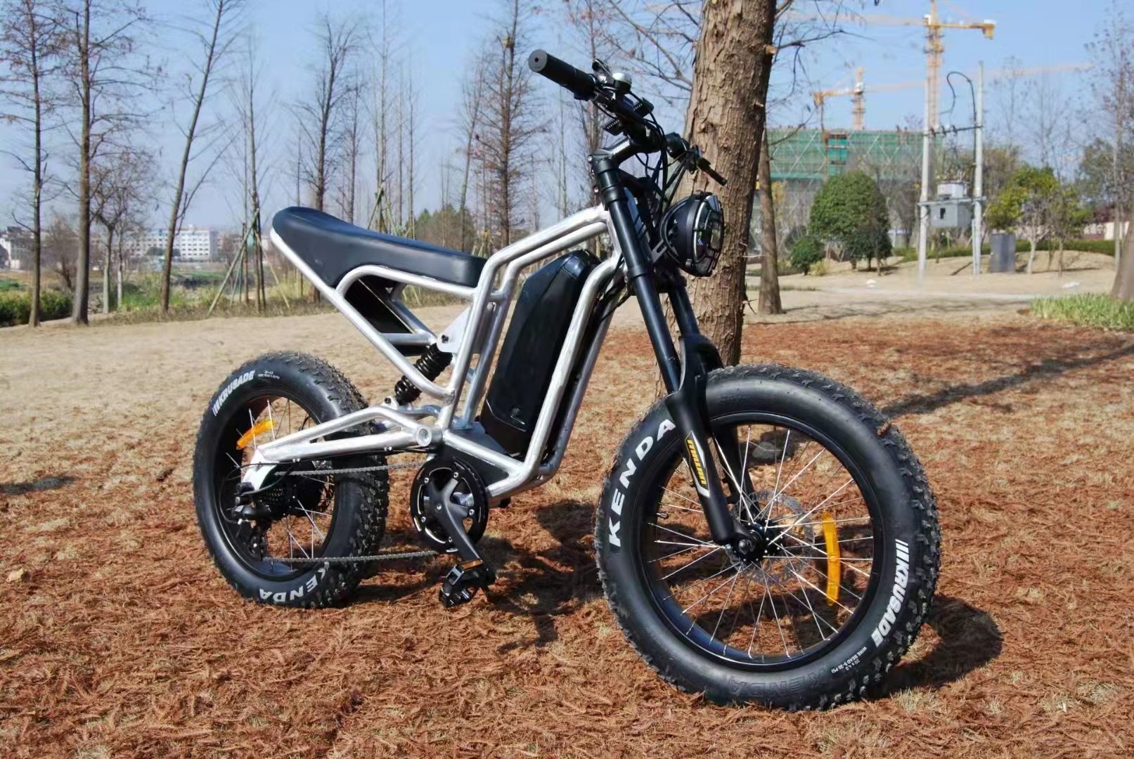 Buy Wholesale China Retro Vintage Super Electric Hybrid Bike 73 Fat ...