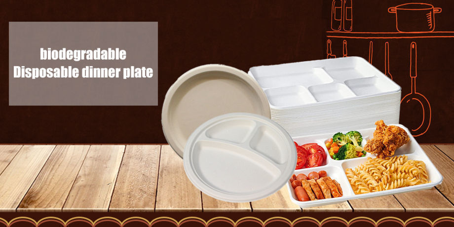 Custom Paper Plate 5 Compartment Plates Disposable Paper Plate Eco ...