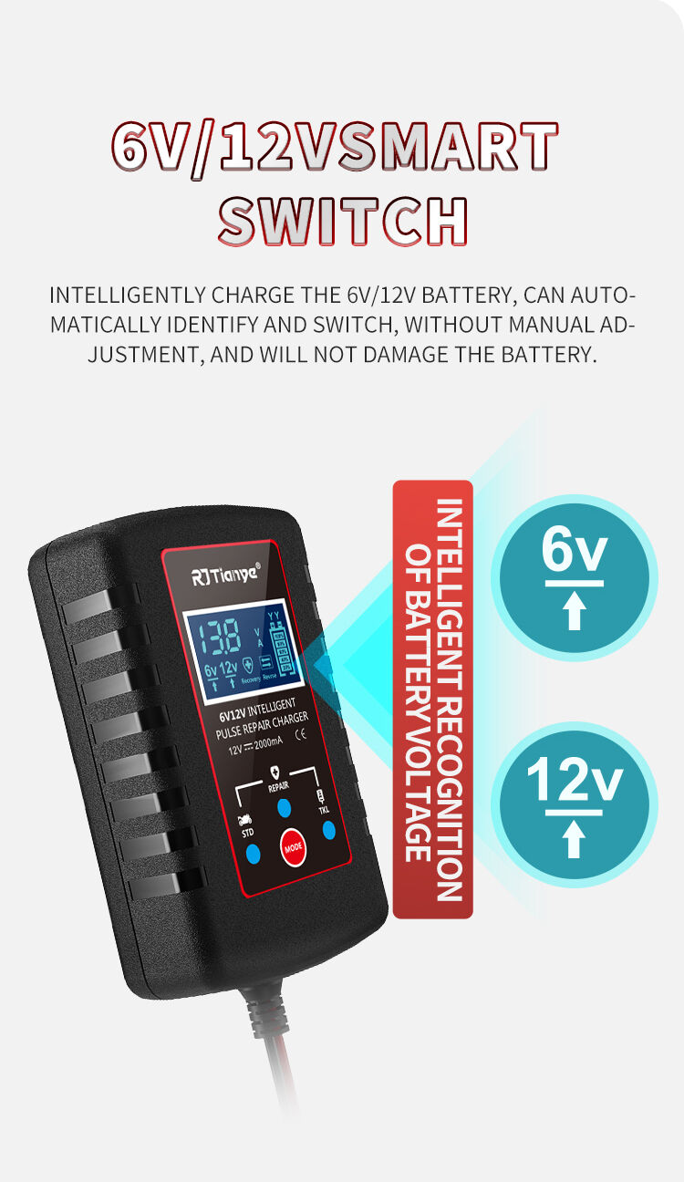 Rjtianye Pulse Repair 6v 12v Battery Charger Universal Automatic Lead ...