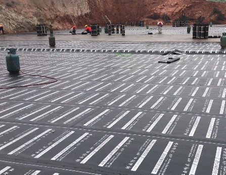 Buy Wholesale China Sbs Asphalt Waterproof Membrane ,pe Film Have Cheap ...