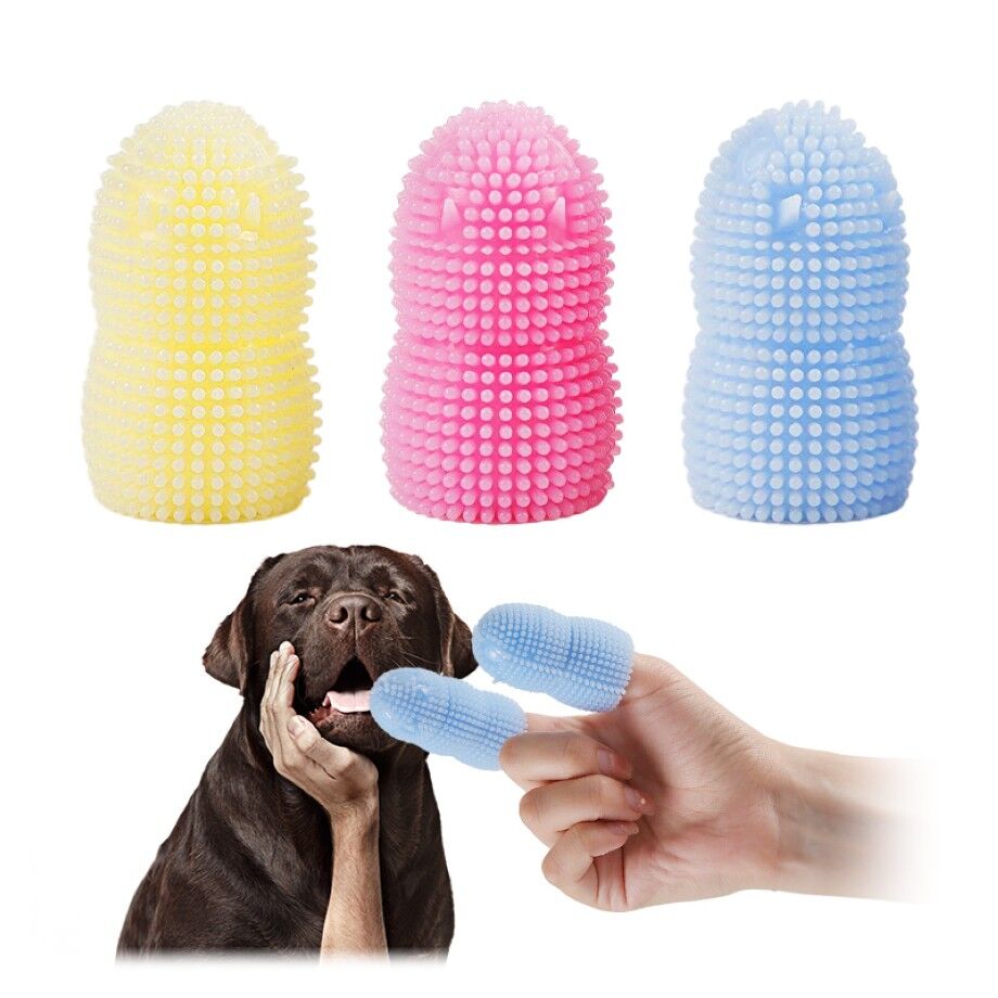 Buy Wholesale China Lovepaw 360 Degree Soft Silicone Pet Finger ...