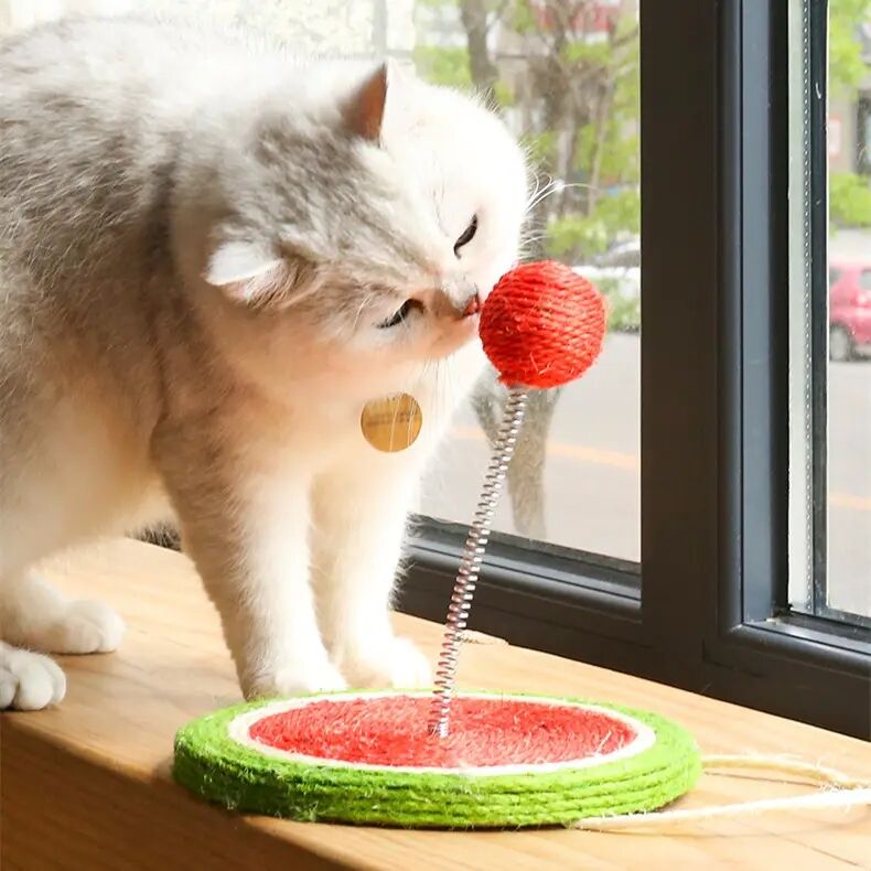 Fruit Design Scratch Cat Wholesale Cat Toy Interactive Teasing Cat ...