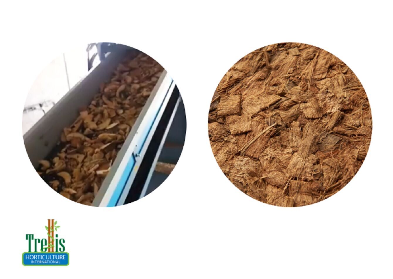 Trellis Coco Husk Chips Are Diced, Crushed And Compressed Pieces Of ...