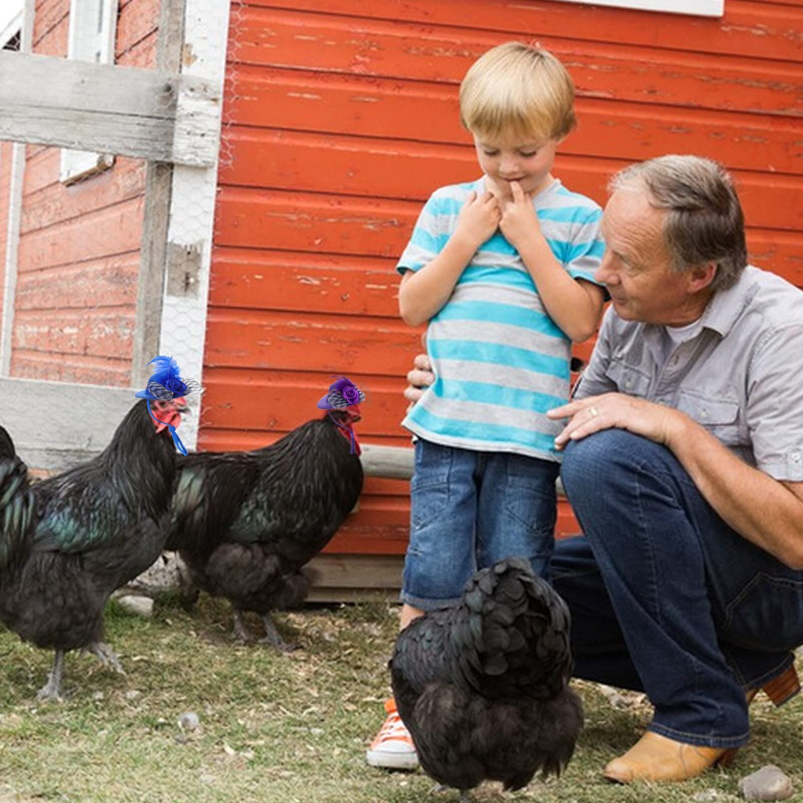 Chicken Hats For Hens Chicken Helmet Mini Hat With Adjustable Elastic ...