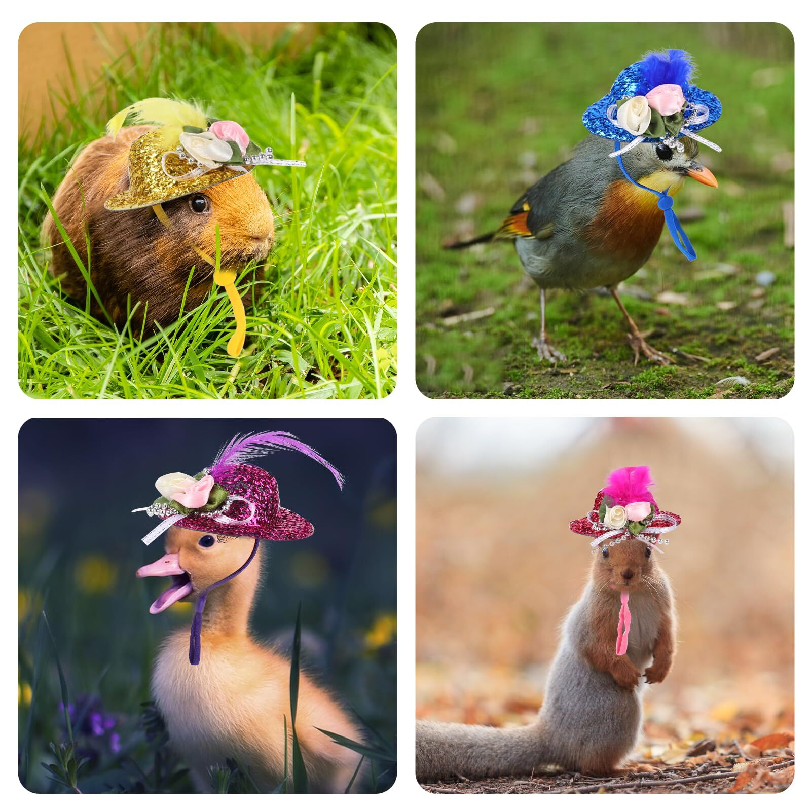 Chicken Hats For Hens Chicken Helmet Mini Hat With Adjustable Elastic ...