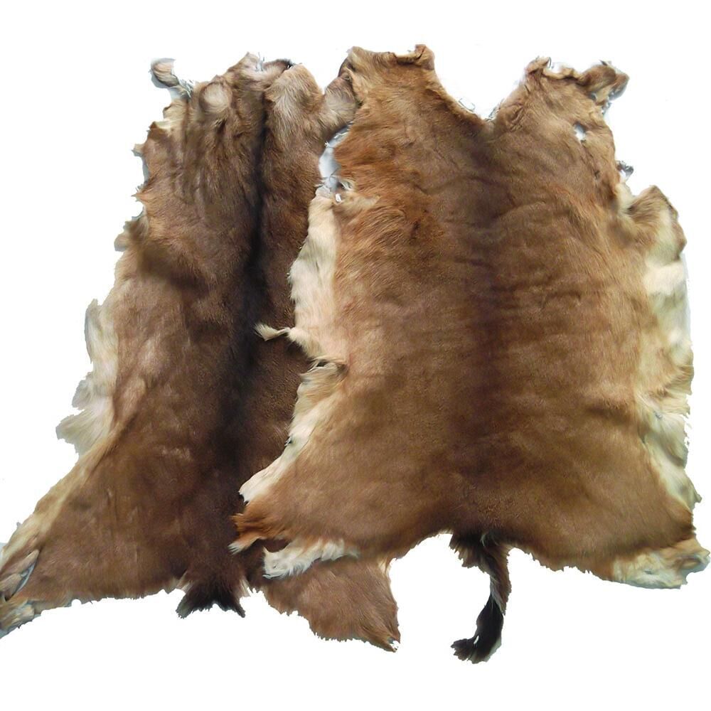 Buy Wholesale Canada Wet Salted And Dried Salted Cow Hides For Sale ...