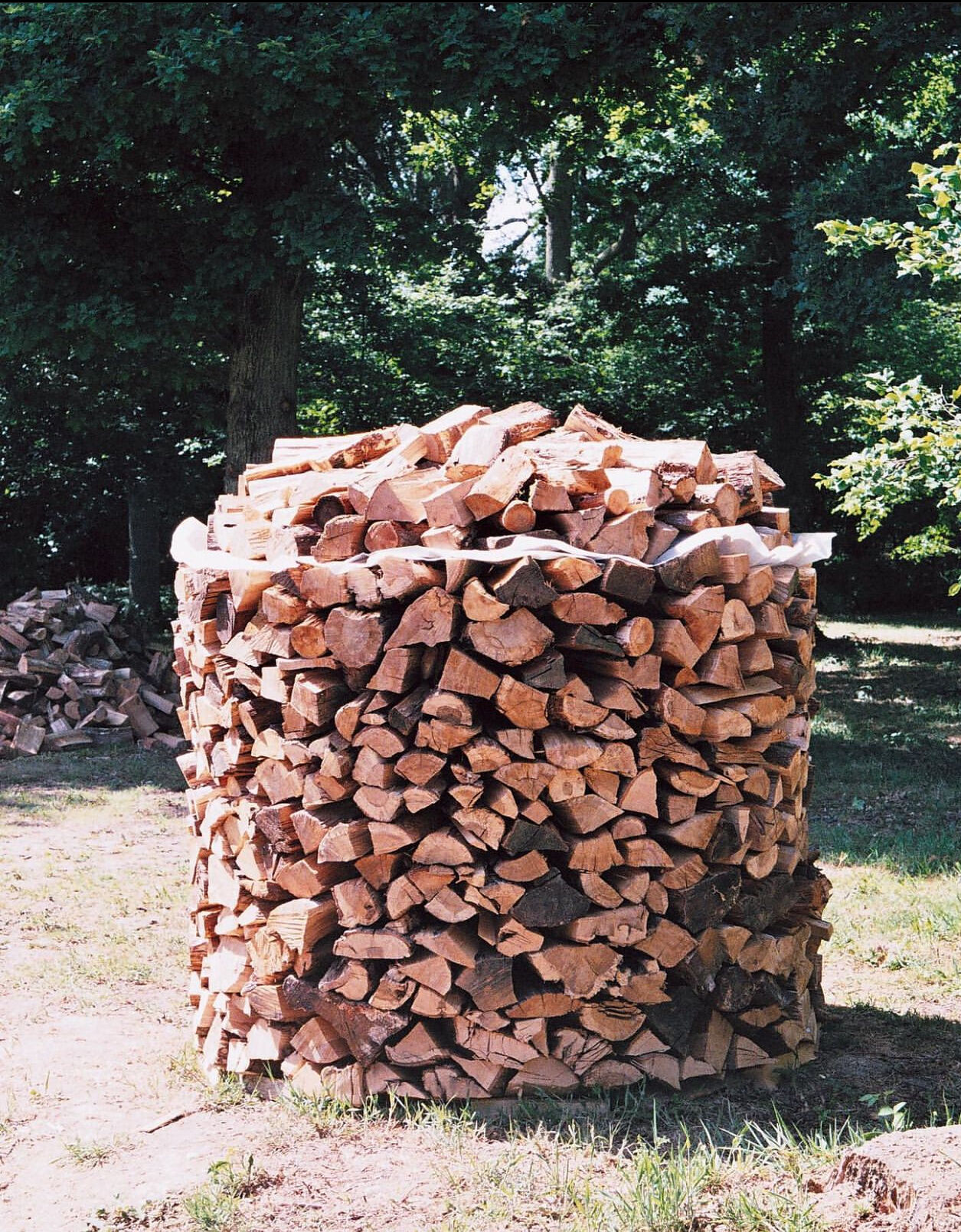 Buy Wholesale United Kingdom Top Quality Kiln Dried Split Firewood ...