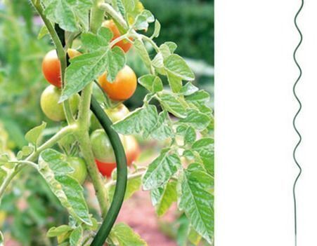 Durable Metal Climbing Plant Support Garden Tomato Spiral Stakes Green ...