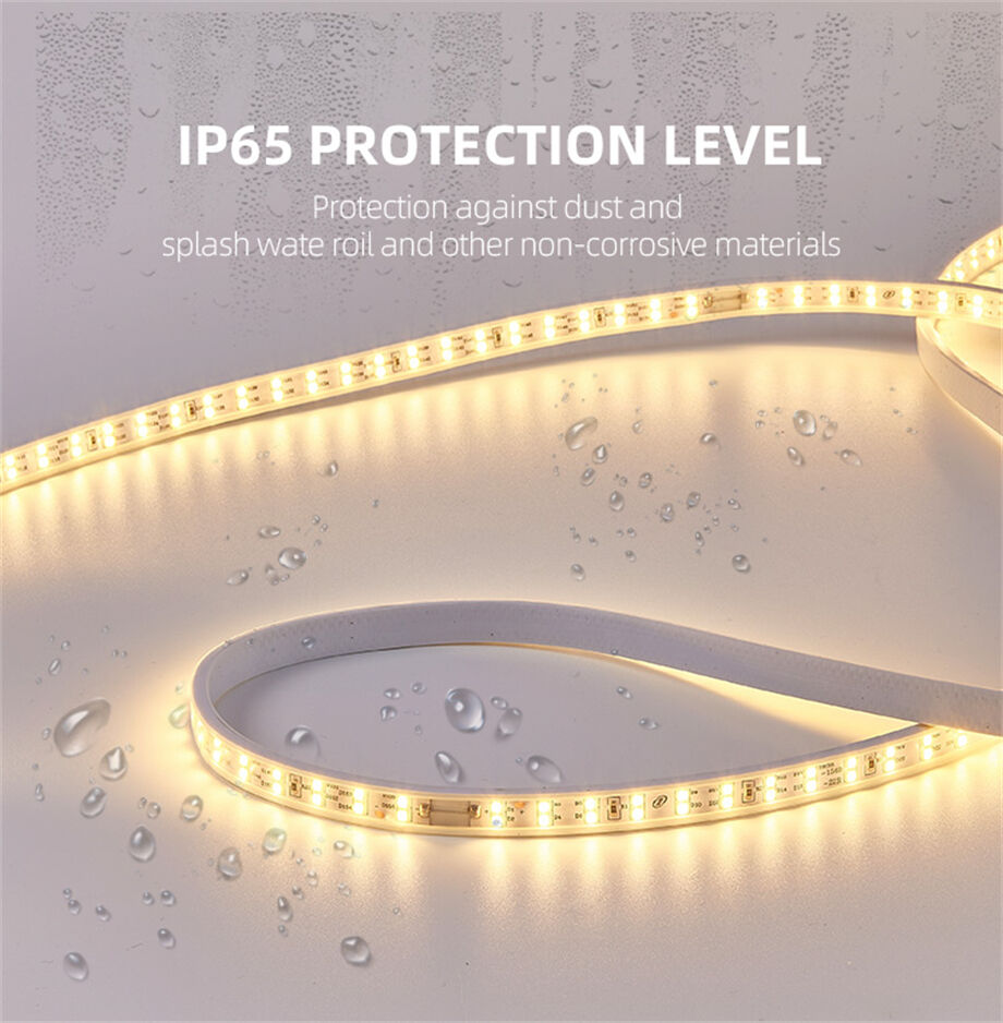 Buy Wholesale China Rgb Led Strip Light Addressable Ws2812b Ucs2904 ...