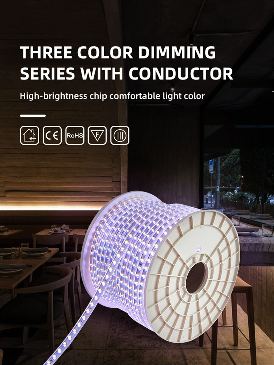 Hot Sale 1 Cm Cut 5m 10m 50m 100m Ip67 Silicone Led Neon Light Strip ...