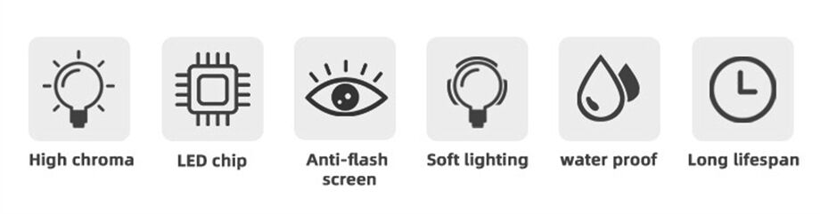 Dimmable Driver Snake Lights 5 Meter Silicon Light Strip Flex Neon ...