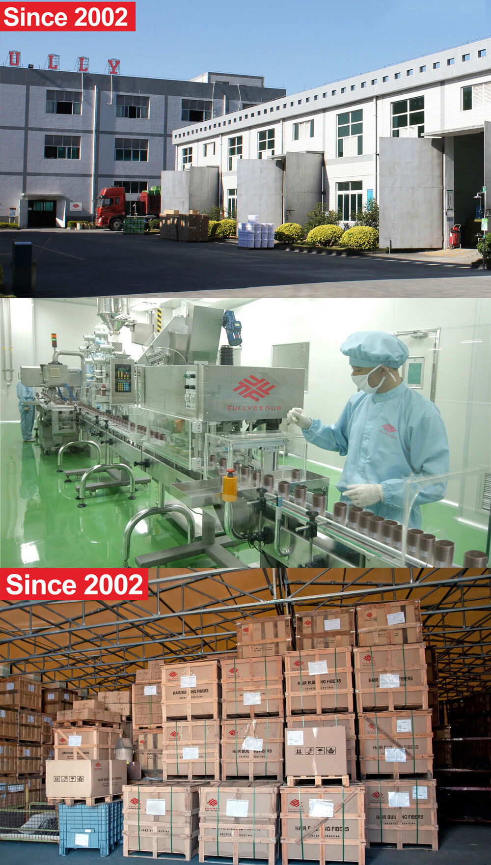 Premium Beauty Miracle Black Hair Powder Cover Bald Spot Hair Building ...