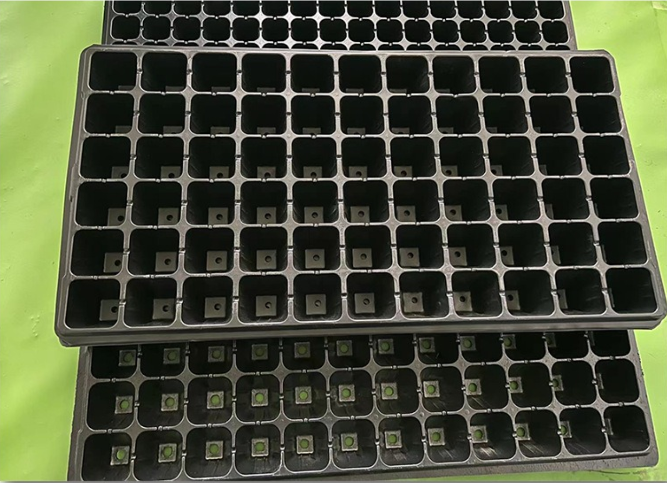 Wholesale Pp Cell Seedling Tray Seed Starter Tray Cell Gardening ...
