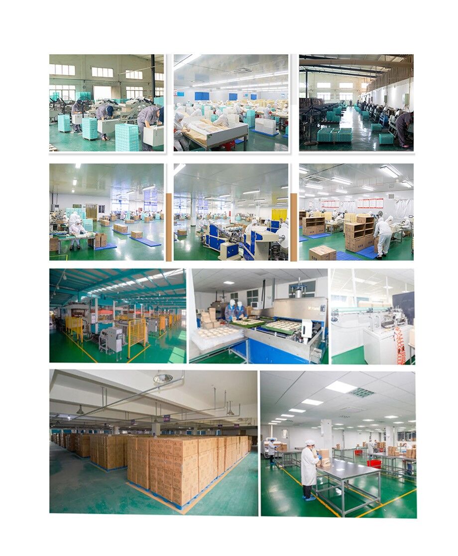 Factory Direct High Quality China Wholesale Paper Pulp Molding Wet ...
