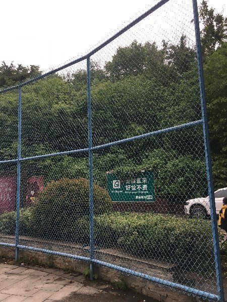 Buy China Wholesale Factory Wholesale Iso & Ce Hot Dipped Galvanized ...