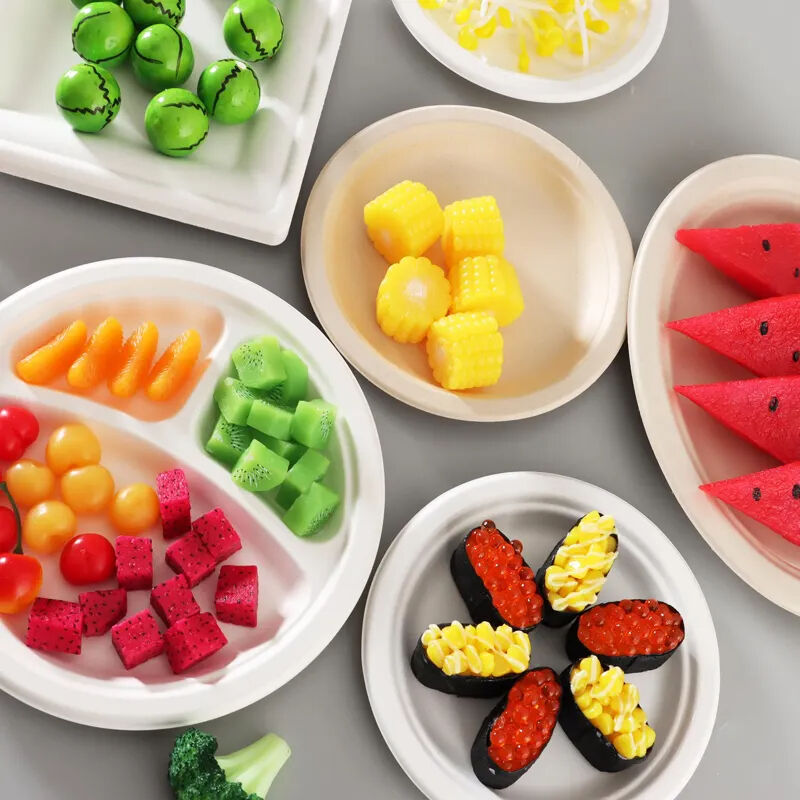 Buy Wholesale China Compostable Paper Plates Paper Pulp Plate For ...