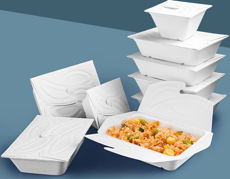 Free Sample Of Inflight Meal Box Aluminum Foil Airline Container ...