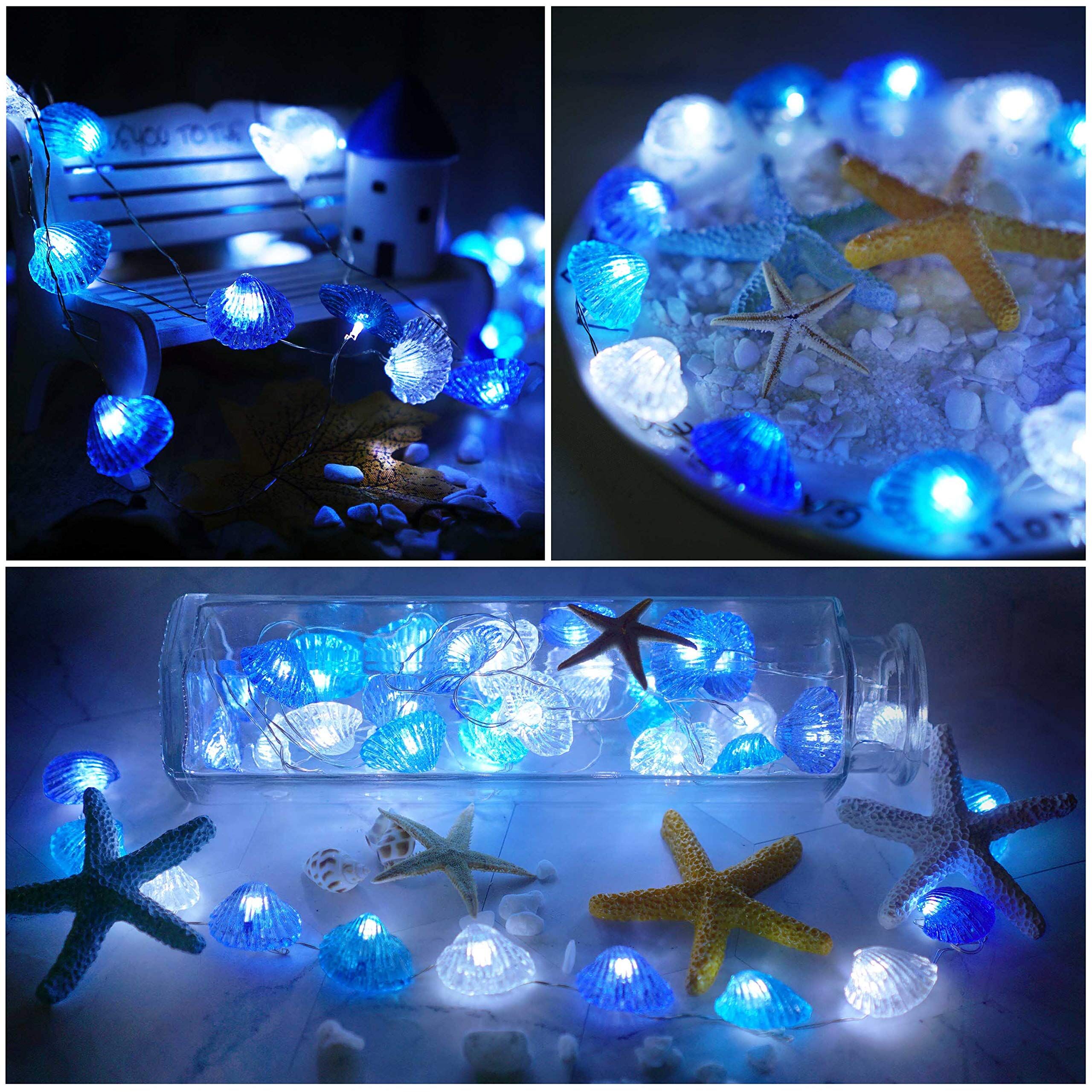 Special Design Shell Shape 10 Led String Light Warm White Outdoor ...
