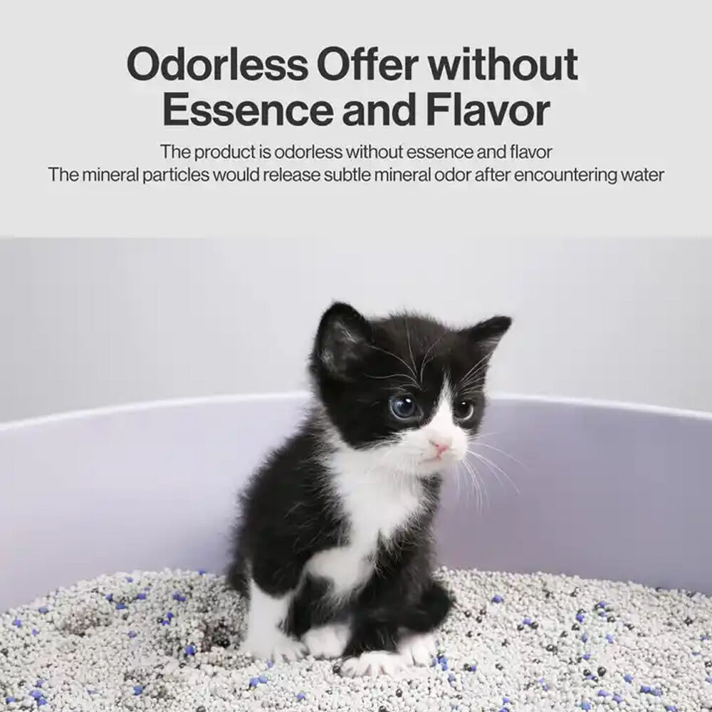 Supplier Custom Manufacturers Eco Friendly Kitty Litter Premium Quality ...