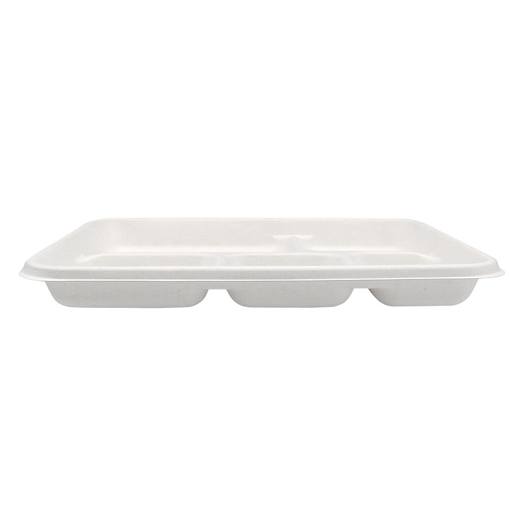 5 Compartment Trays, 100%compostable Paper Plate Tray, School Bagasse ...