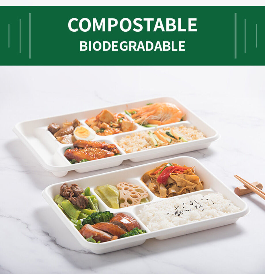5 Compartment Trays, 100%compostable Paper Plate Tray, School Bagasse ...