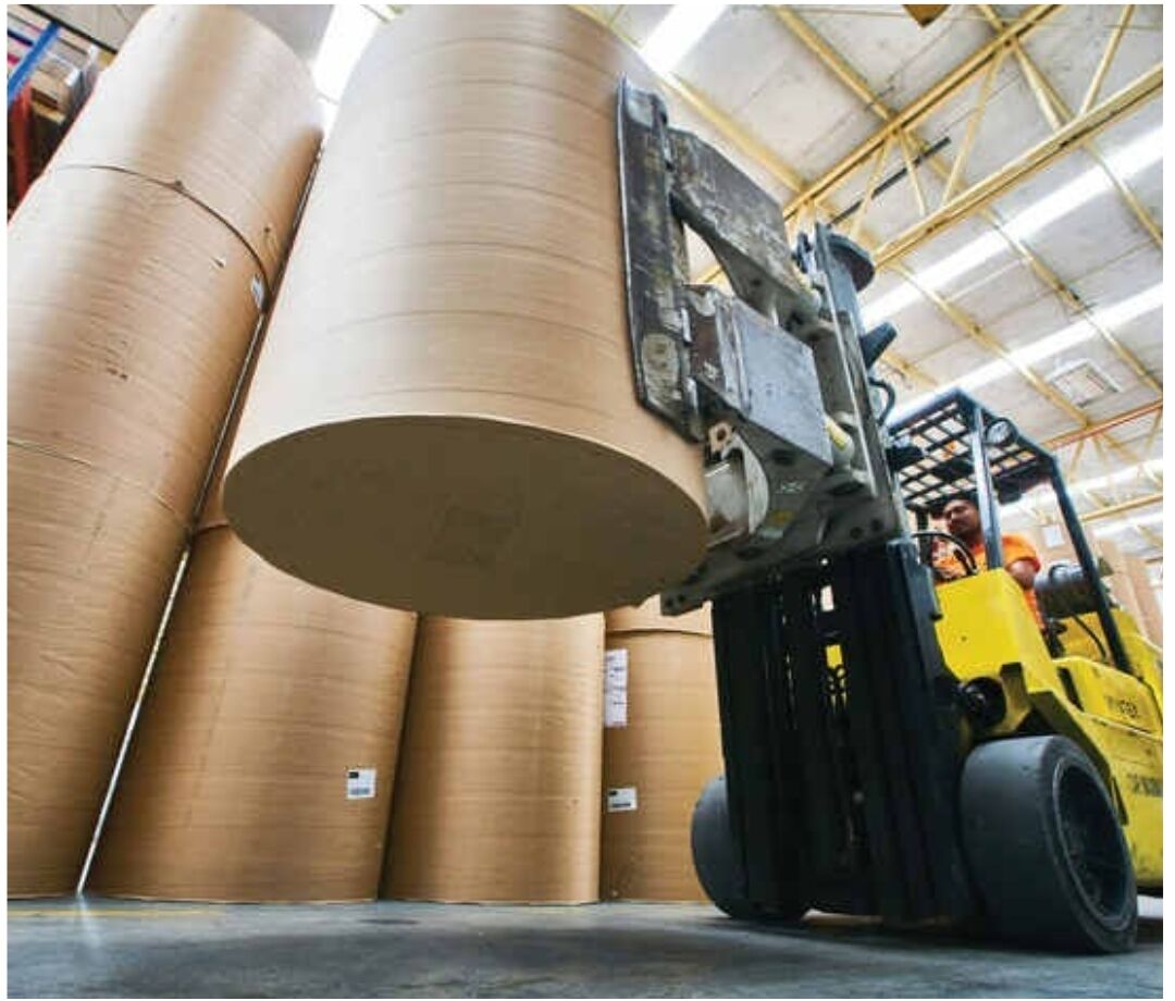 Ecofriendly Biodegradablel Multicolor Washable Kraft Paper Fabric ...